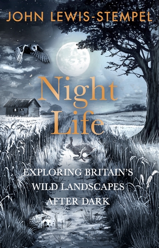 Night John Book Quotes